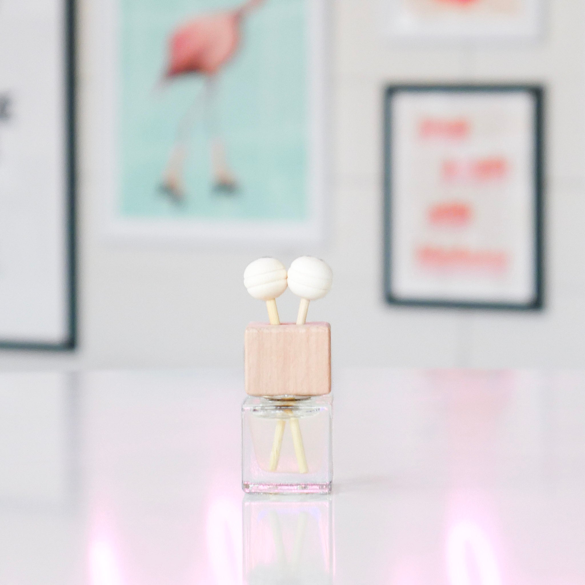 Car Diffuser – Ruby + Begonia